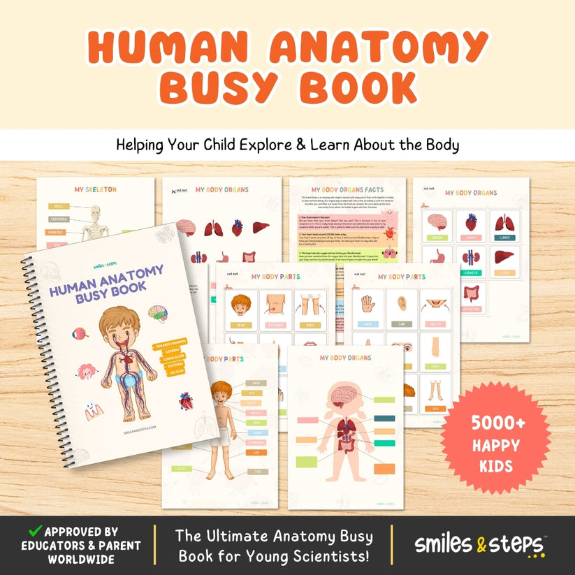 Human Anatomy Busy Book – Fun & Interactive Science Learning – Smiles ...