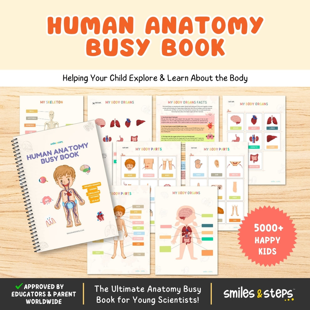 Human Anatomy Busy Book – Fun & Interactive Science Learning – Smiles ...