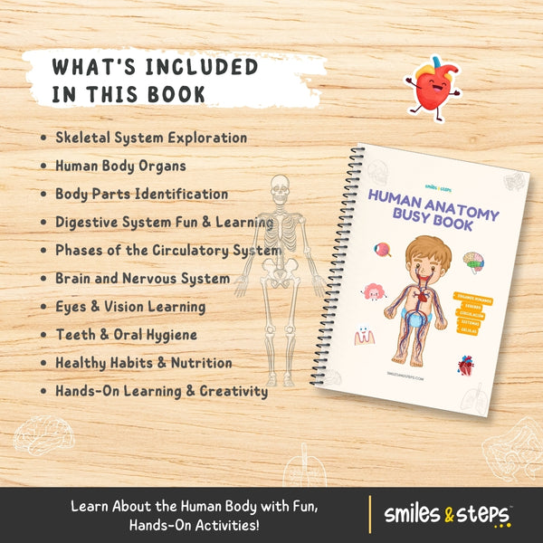 Human Anatomy Busy Book – Fun & Interactive Science Learning – Smiles ...