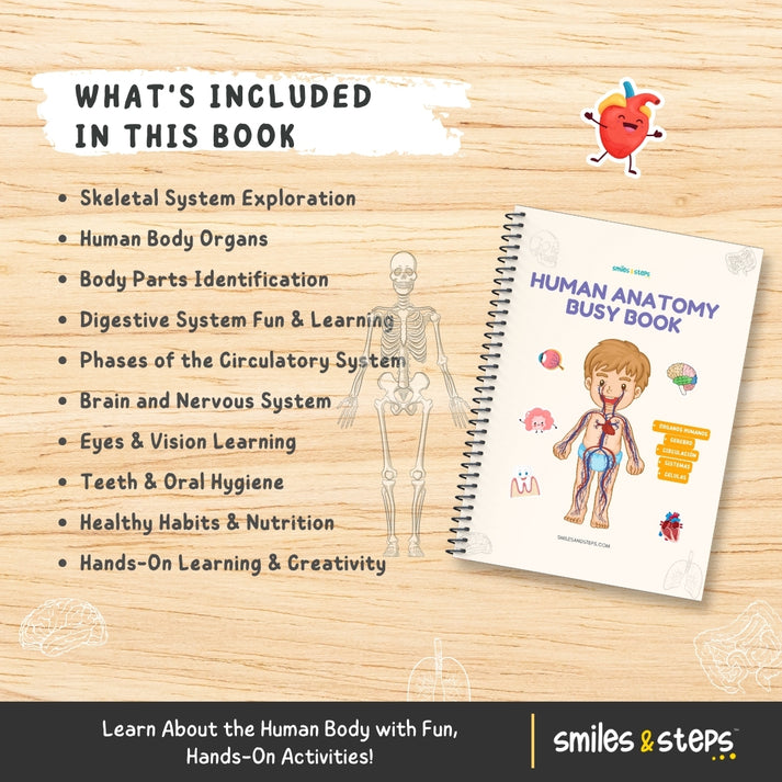 Human Anatomy Busy Book – Fun & Interactive Science Learning – Smiles ...